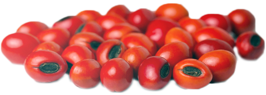 Herzlich Willkommen bei Lucky beans e.V.